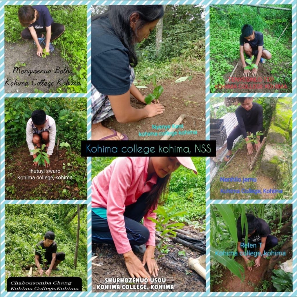 1st-7th July, 2021: NSS Volunteers, KCK tree-planting as they observe ...